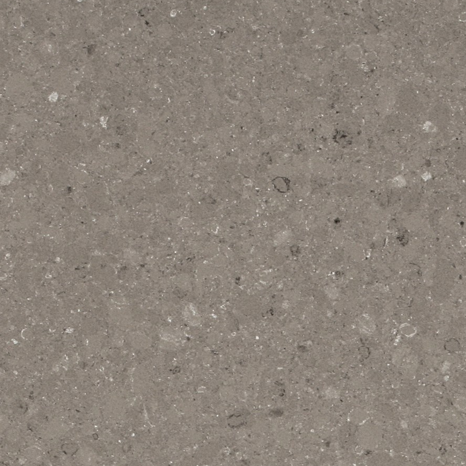 Quartz: Ceasarstone Shitake (4230) - Elite, Langley