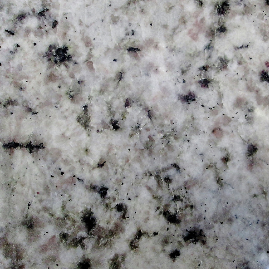 Specialty Granite: Bianco Echador - Elite, Langley
